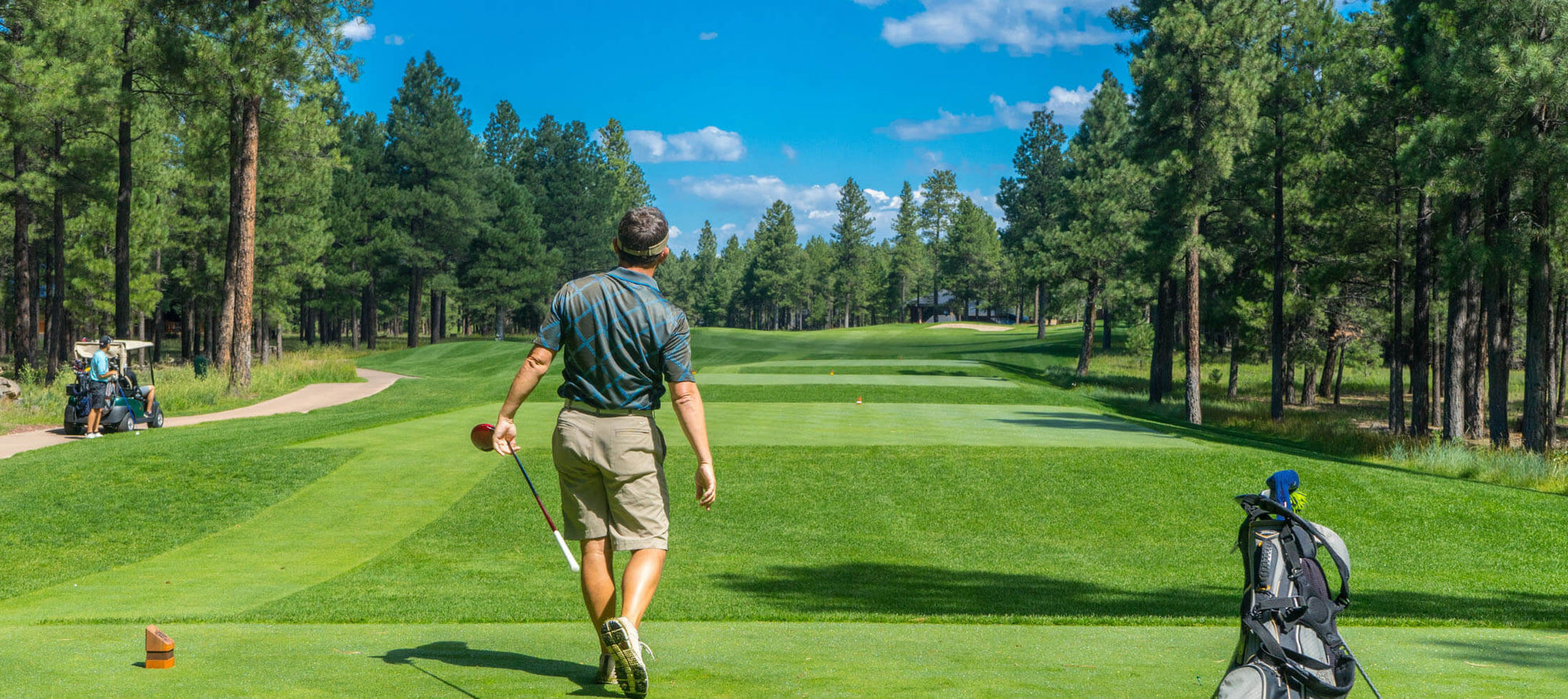 Framed and Personalized World Travel Maps with Pins | Push Pin Maps ...