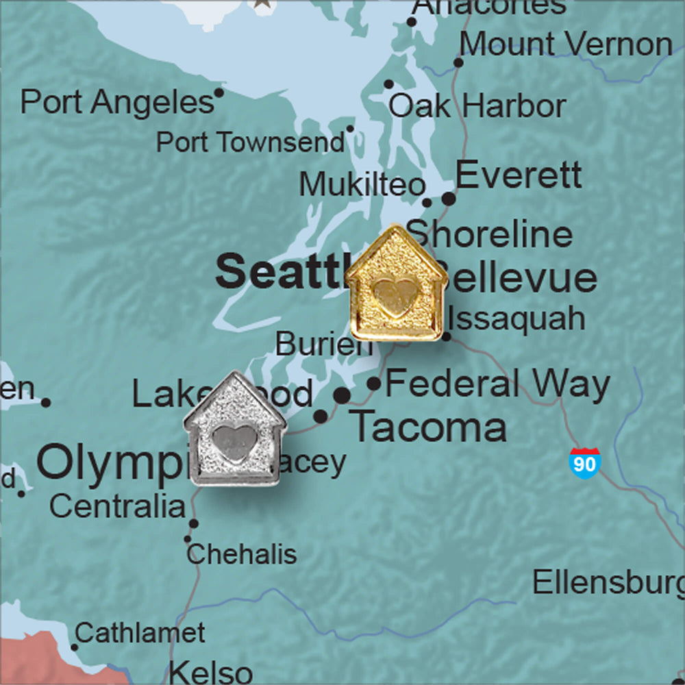 Mini House Push Pins - House Map Pins - House Shaped Pins – Push Pin ...