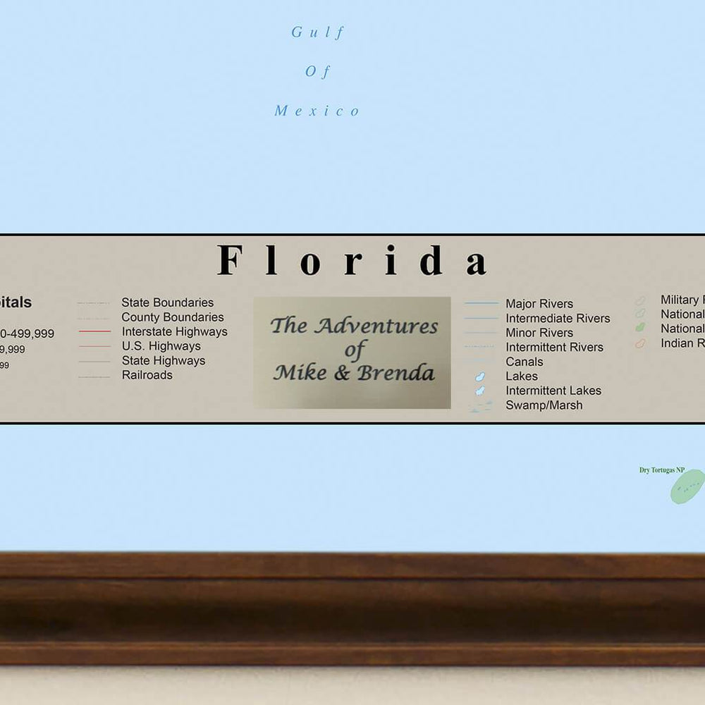 Florida State Travel Map | Travel Map Pin Board | Push Pin Travel Maps